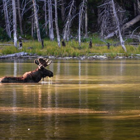 Stadacona Aventures- Formulaire réservation - Stadacona aventures
